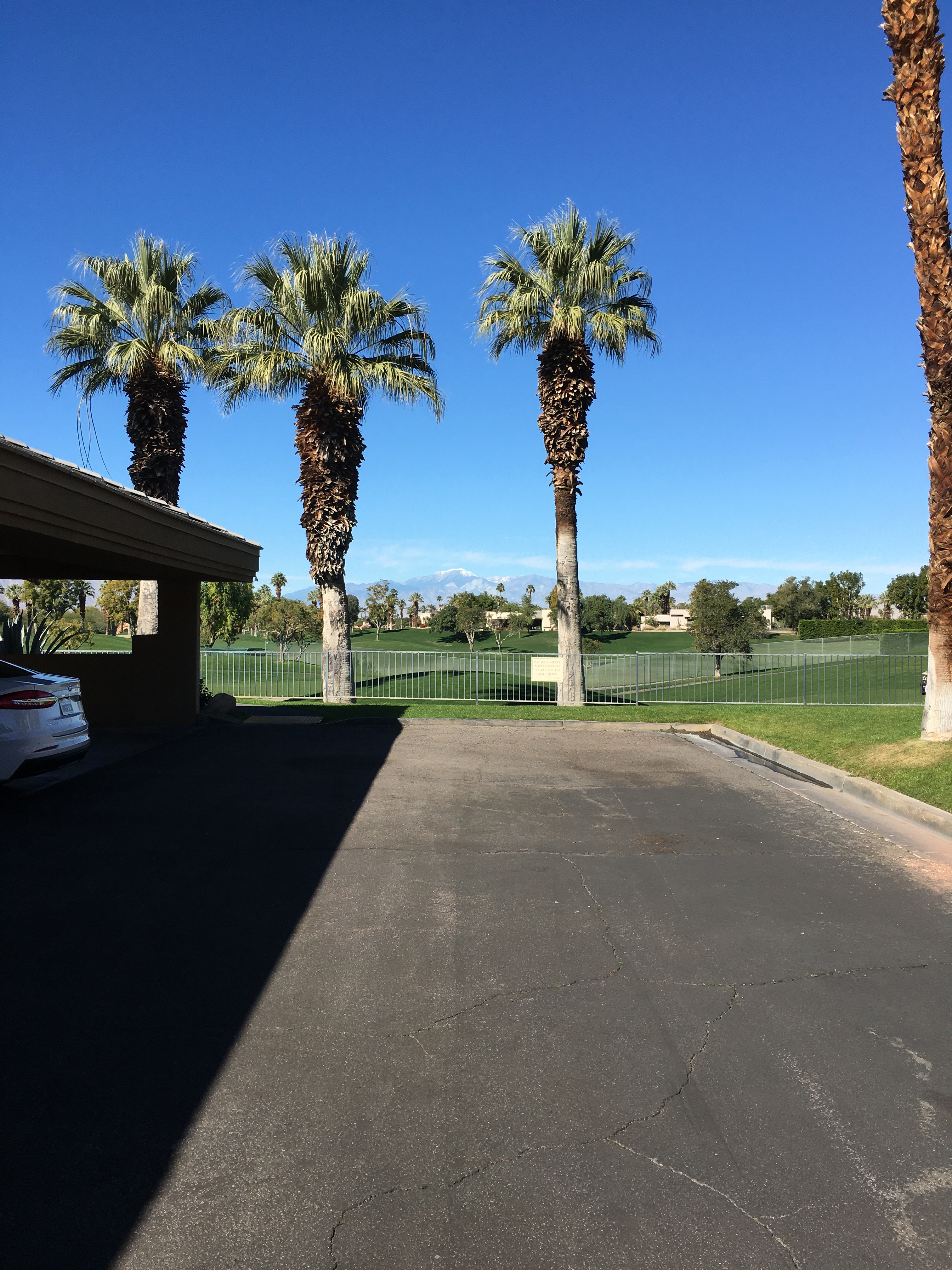 Palm Springs – Henry Matthew Benison